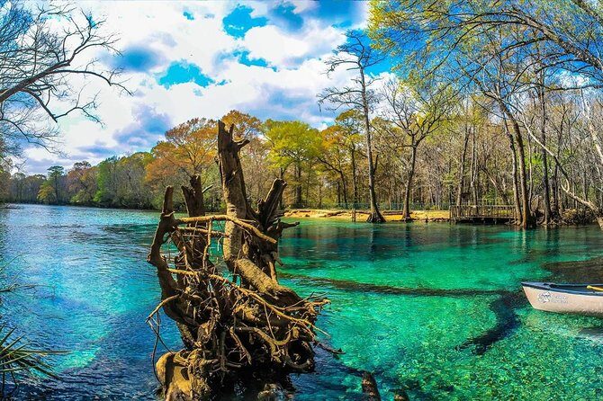 Cypress Springs Eco Adventure - What’s Included and Why It Matters
