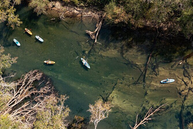 Cypress Springs Eco Adventure - Authentic Experiences and Tips