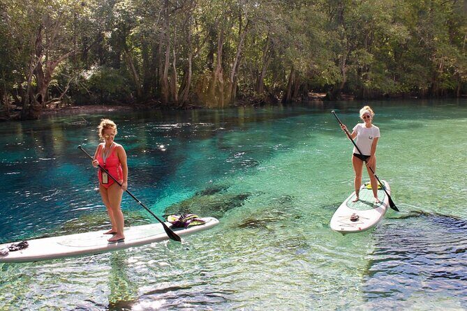 Cypress Springs Eco Adventure - Who Will Love This Tour?