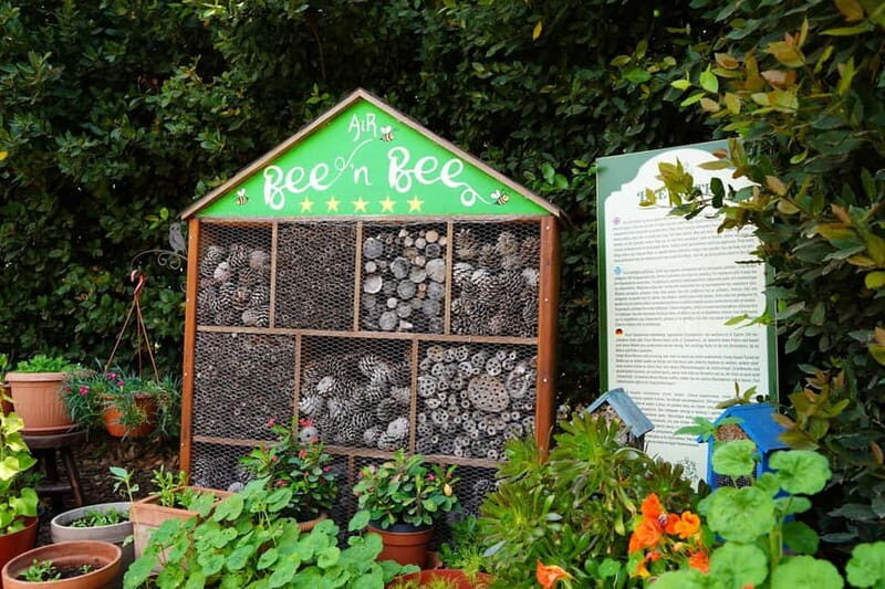 Cyprus: Herb Gardens and Maze in Cyherbia Botanical Park - Final Thoughts: Is It Worth It?
