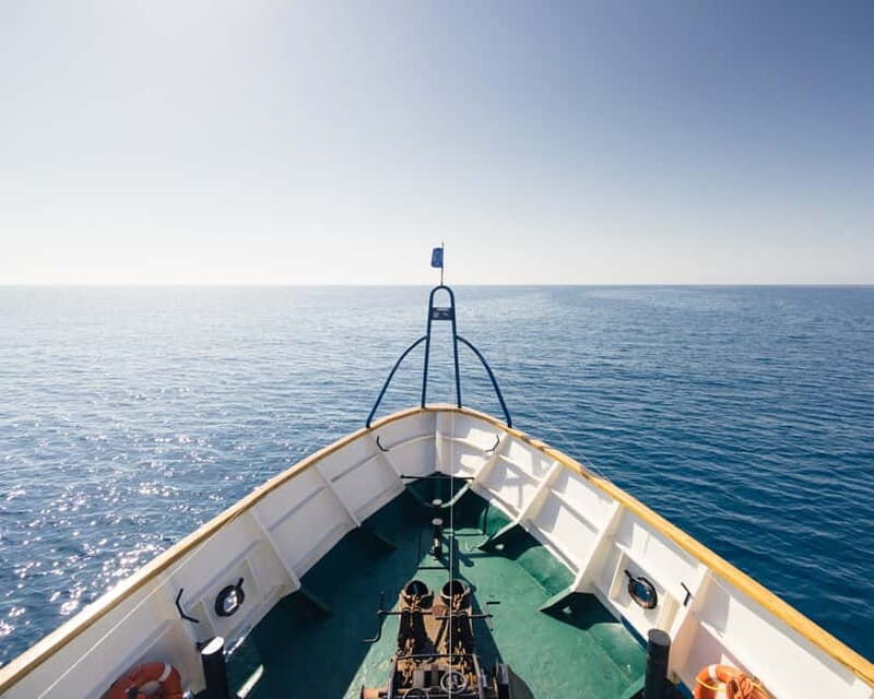 Cyprus: Odyssey Boat Safari from Larnaca to Protaras - Key Points