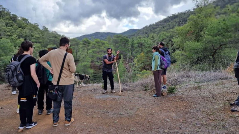 Cyprus: Troodos & Geopark or Pafos Forest & Villages Tour - Introduction: Exploring Cyprus Beyond the Beaten Path