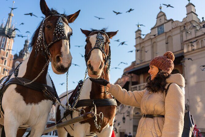 Czartoryski Palace Museum Tickets and Krakow Old Town Tour - Key Points