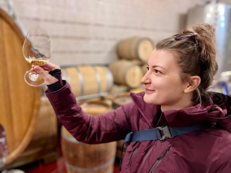 Czech Vineyards and Wine Tasting 4WD Tour with Lunch - Key Points