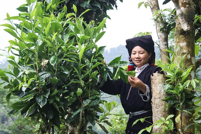 Da Bac Discovery trek and tour 2D1N - From Hanoi to the Hidden Village of Sung