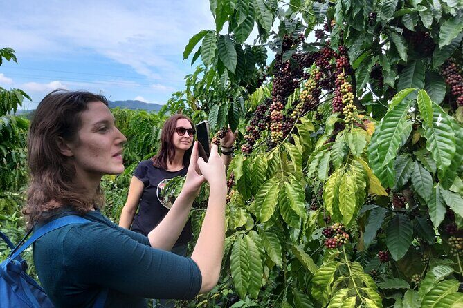 Da lat Countryside: Nature & Culture Tour by Car - Final Thoughts: Who Will Love This Tour?