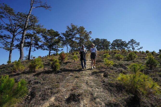 Da lat Countryside: Nature & Culture Tour by Car - The Sum Up