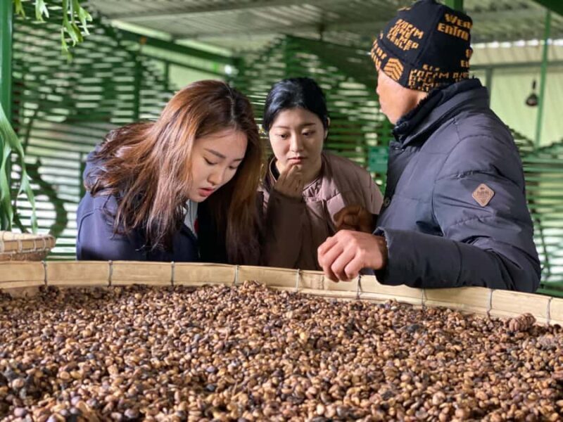 Da Lat: Countryside Tour with Mario-Kart Ride and Mongo Land - Overall Value and Who Will Love This Tour