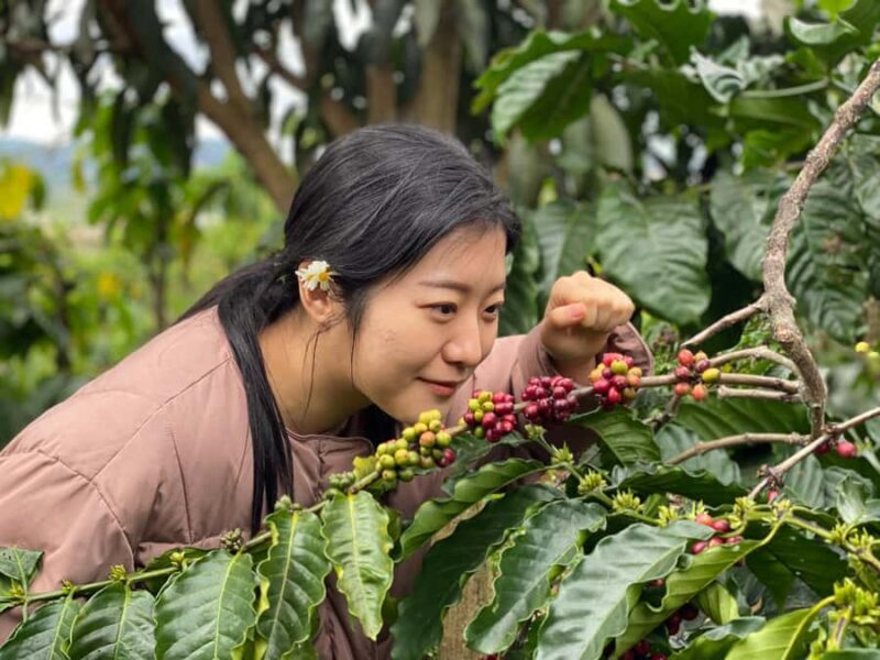 Da Lat: Countryside Tour with Mario-Kart Ride and Mongo Land - Final Thoughts