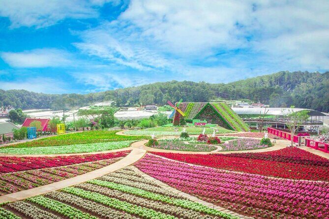 Da Lat : Explore Elephant Falls,Silk Village and Countryside - Practical Details and What They Mean for You