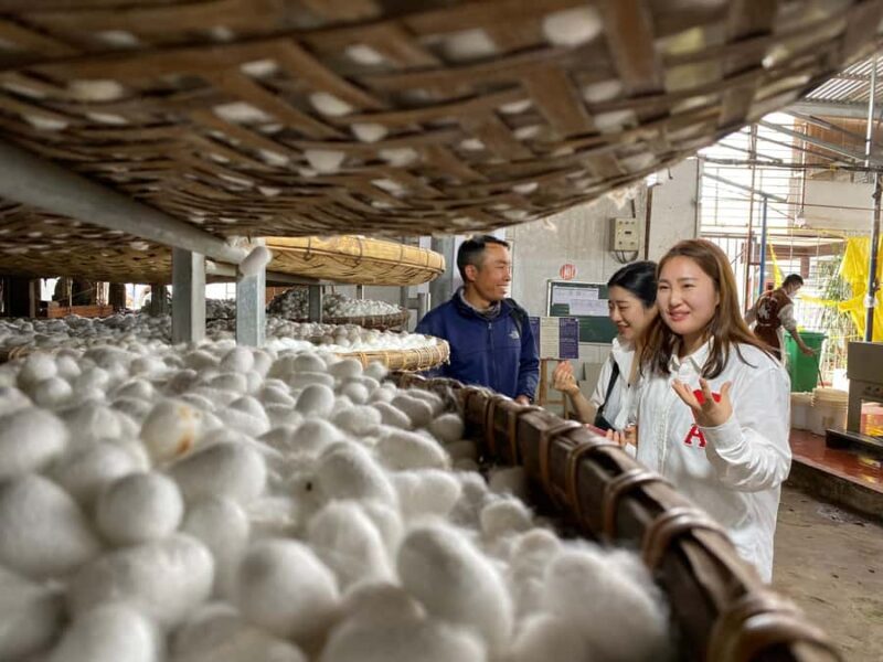 Da Lat: Samten Hill, Waterfalls, and Coffee Tour - The Overall Experience: What You Can Expect