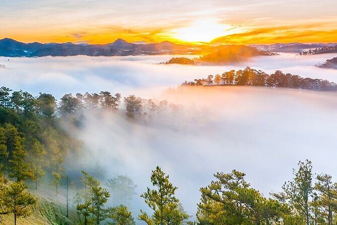 Da Lat Sunrise and Cloud Hunting Trek  Early Morning Hiking Tour - Why This Tour Is Worth Considering
