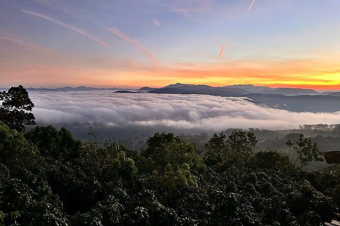 Da Lat Sunrise and Cloud Hunting Trek  Early Morning Hiking Tour - Final Thoughts: Who Should Consider This Tour?