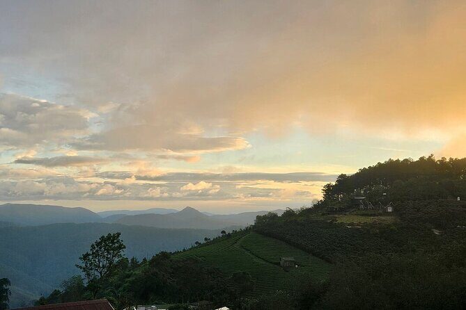 Da Lat Sunrise and Cloud Hunting Trek  Early Morning Hiking Tour - FAQ