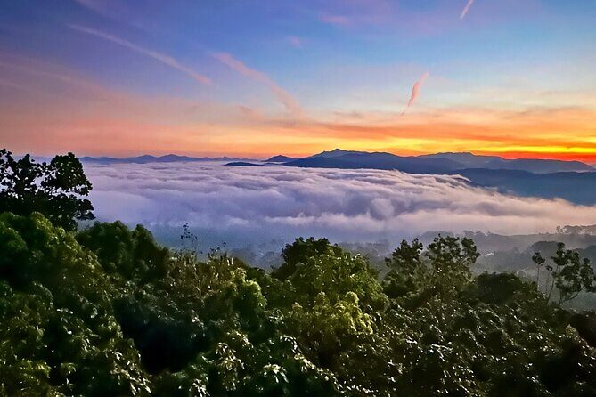 Da Lat Sunrise Cloud Hunting A Magical Early Morning Experience - Who Should Consider This Tour?
