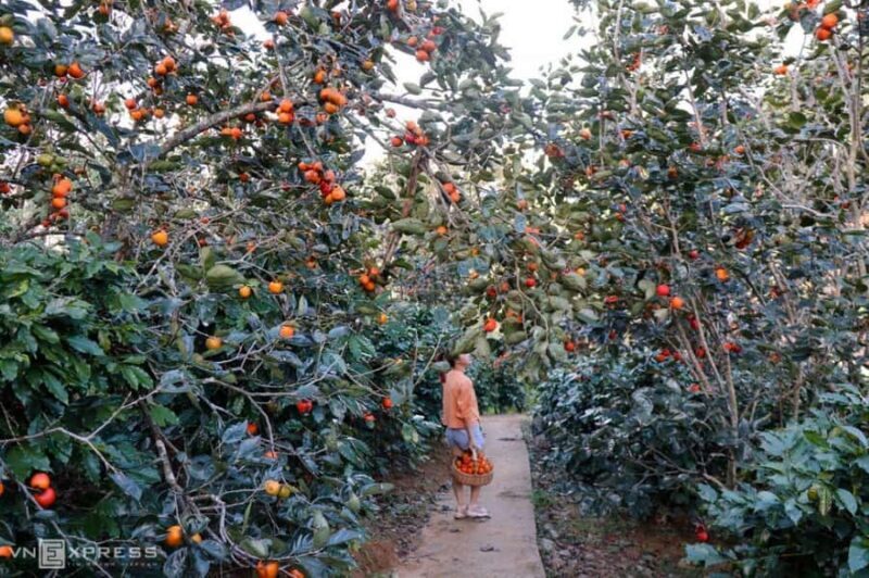 Da Lat: Sunrise Photography & Scenic Morning Tour - Key Points