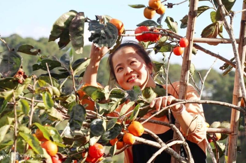 Da Lat: Sunrise Photography & Scenic Morning Tour - Who Will Enjoy This Tour?