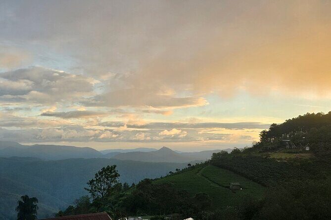 Da Lat Sunrise Tour Cloud Hunting and Stunning Dawn Views - The Sum Up