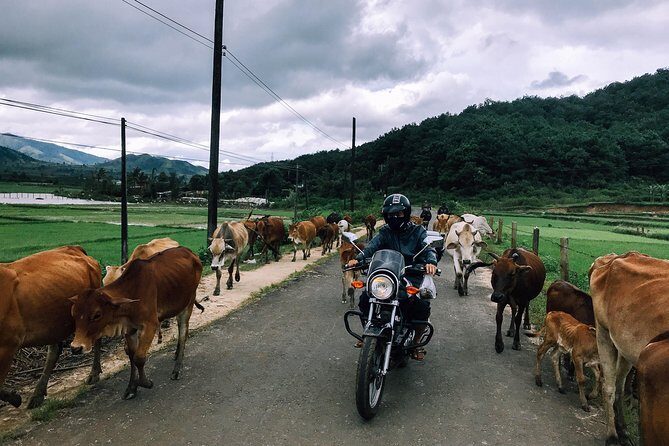 Da Lat's Countryside & Waterfalls Day Tour by Motorbike - Why This Da Lat Motorcycle Tour is a Must-Do