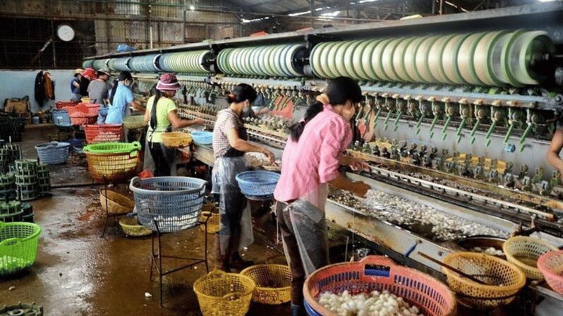 Da Lat's Most Beautiful Nature Discovery Tour (Private Car) - Who Is This Tour Best For?