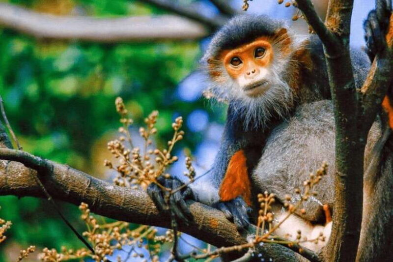 Da Nang: 5-Hour Guided Night Tour - Strolling the Marina and Night Market Delights