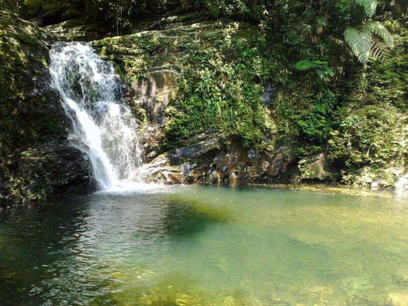 Da Nang: Bach Ma National Park Trek And Beach Retreat - Practical Details and Value