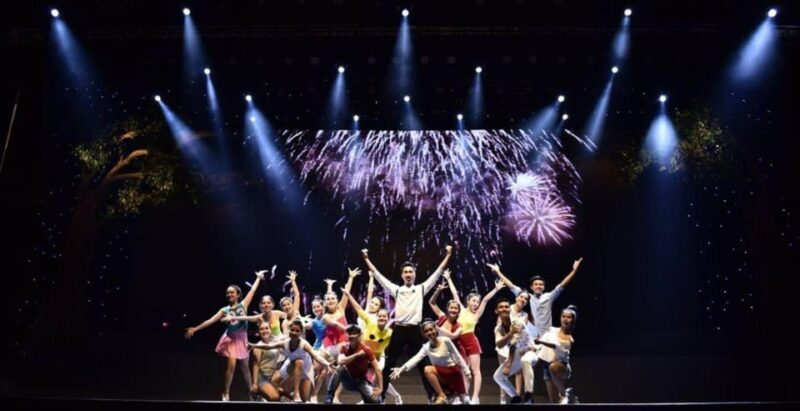 Da Nang: Charming Da Nang Show Ticket - Practicalities and Tips