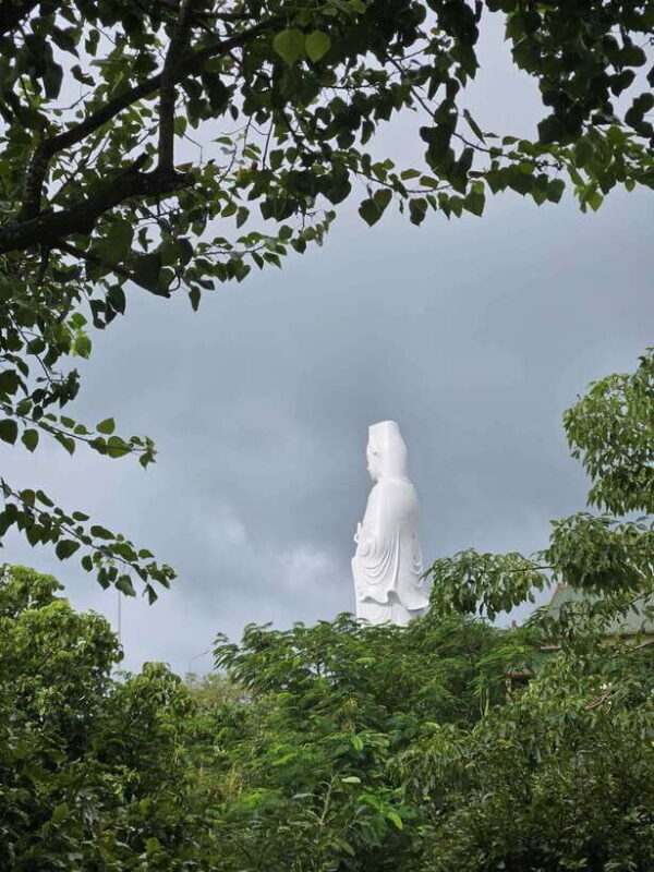 Da Nang City Sightseeing Tour With Paragliding Adventure - Who Should Consider This Tour?