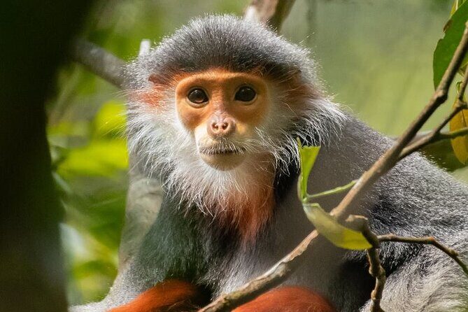 Da Nang City Tour 1 Day- Private Tour - Unveiling Cham Civilization at the Museum