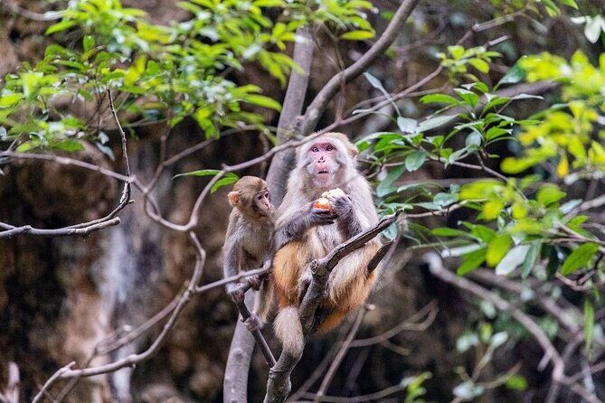 Da Nang City Tour 1 Day- Private Tour - Lunch and Included Comforts