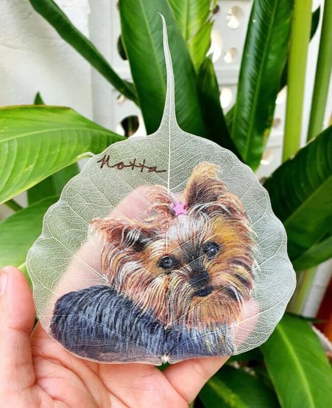 Da Nang Craft & Creative Hub: Choose Your Favorite Workshop - Practical Details: What You Need to Know