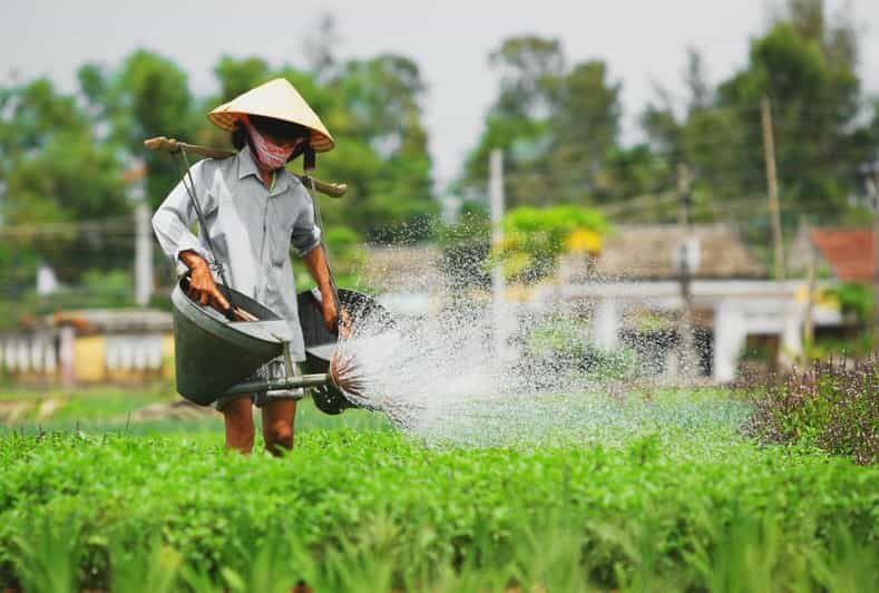 Da Nang: Experiencing the local lifestyle in Hoi An fullday - Key Points