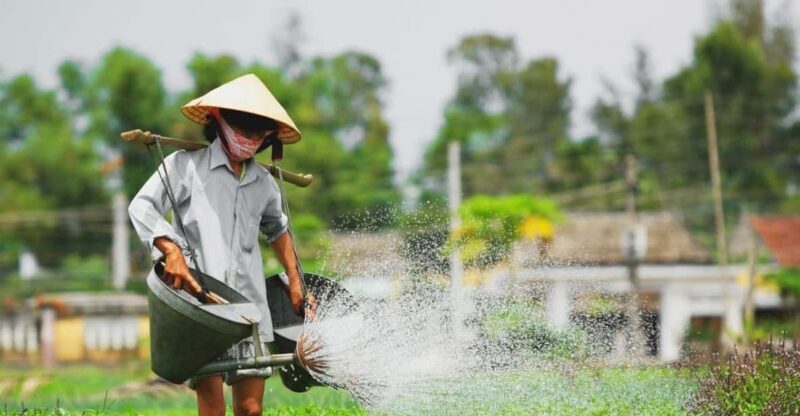 Da Nang: Experiencing the local lifestyle in Hoi An fullday - The Experience: A Deep Dive into the Day