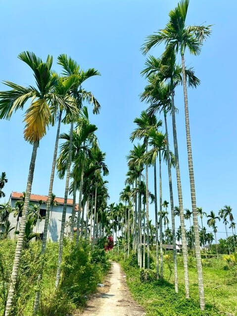 Da Nang: Experiencing the local lifestyle in Hoi An fullday - Who Should Consider This Tour?