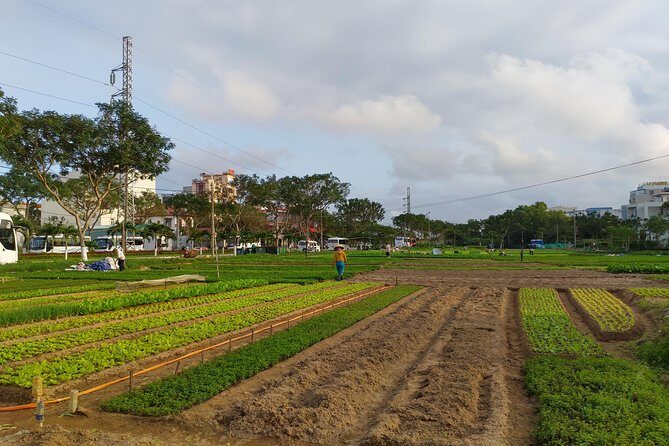 Da Nang Farming Bike Tour & Local Food Experience by Co Co River - Introduction