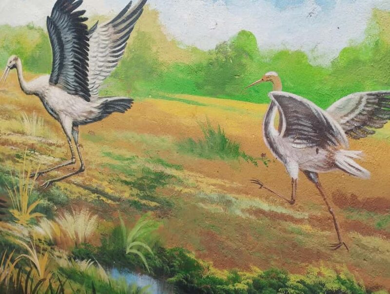 Da Nang Food Tour to Foot Massage by Hightlight & Hidden Gem - Final Thoughts