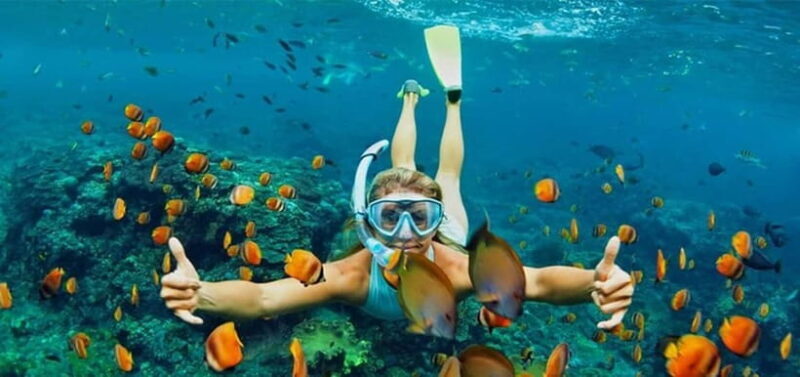 Da Nang/Hoi An: Cham Island Snorkeling or Diving Tour - The Sum Up