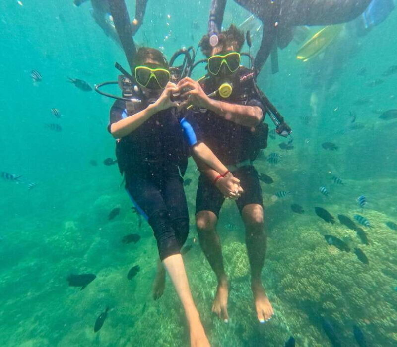 Da Nang/Hoi An: Cham Island Speedboat Tour with Snorkeling - In-Depth Look at What Makes the Tour Valuable