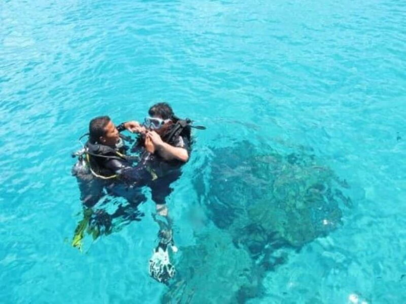 Da Nang/Hoi An: Diving in Cham Islands with an instructor - Who Will Enjoy This Tour?