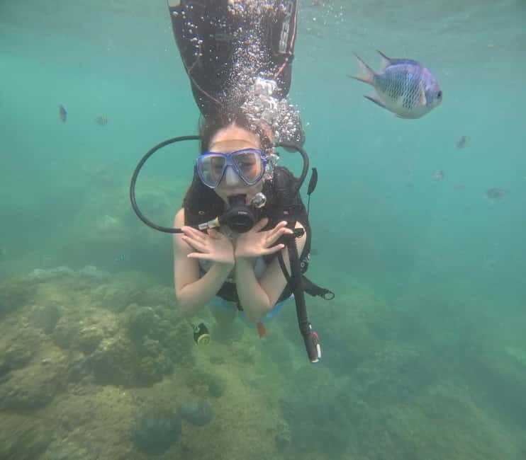 Da Nang/Hoi An: Diving in Cham Islands with an instructor - Final Thoughts