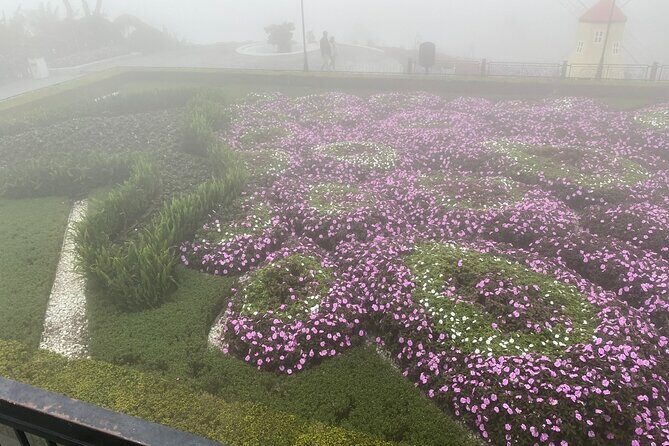 Da Nang/Hoi An to Golden bridge-Bana hills Private Tour - Deep Dive into the Details