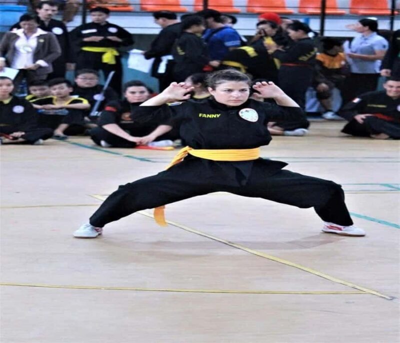 Da Nang/Hoi An: Traditional Martial Art Introduction Class - Why This Tour Is Worth Considering