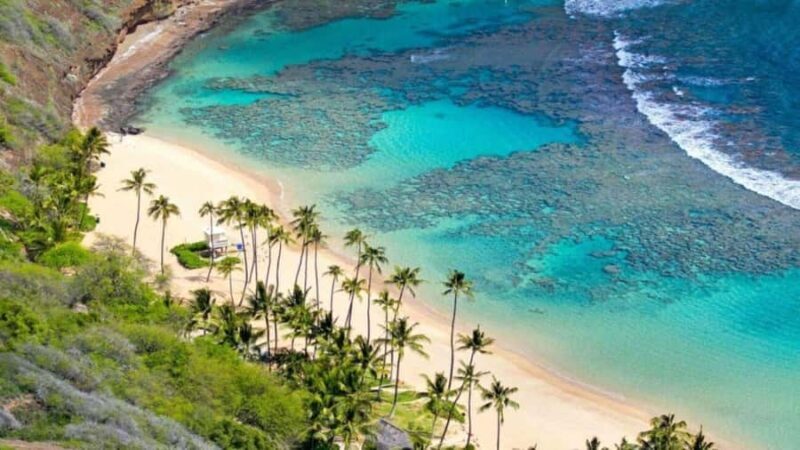 Da Nang/Hoi An:Explore Cham Island and Snorkeling tour 1 Day - An In-Depth Look at the Cham Island Snorkeling Tour