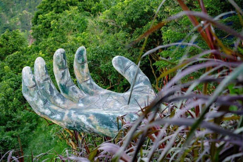 Da Nang: Local Sashimi, Hai Van Pass and Moutain Peak Coffee - Key Points