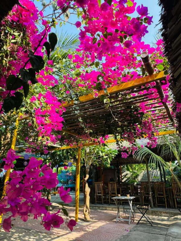 Da Nang: Marble Mountains, Hoi An, and Coconut Forest Tour - The Fun and Color of Coconut Forest and Basket Boat Ride