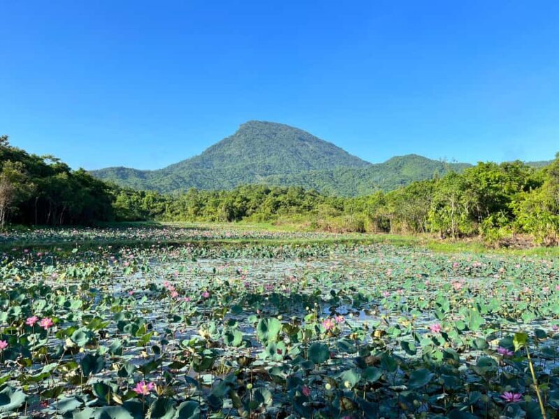 Da Nang: My Son Holyland - Rice Paper Making Deluxe Tour - FAQ: Practical Questions About the Tour