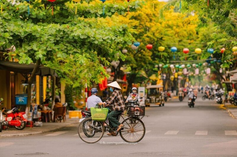 Da Nang: My Son Sanctuary and Hoi An Private Car Day Tour - Authenticity and Reviews