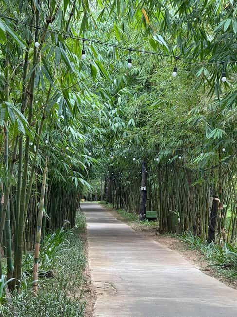 Da Nang: Nature & Horse-Riding Experience - Final Thoughts