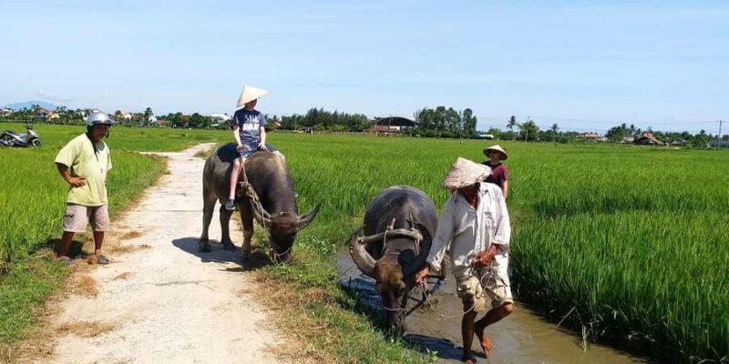 Da Nang or Hoi An: Countryside Bike & Basket Boat Tour - Key Points