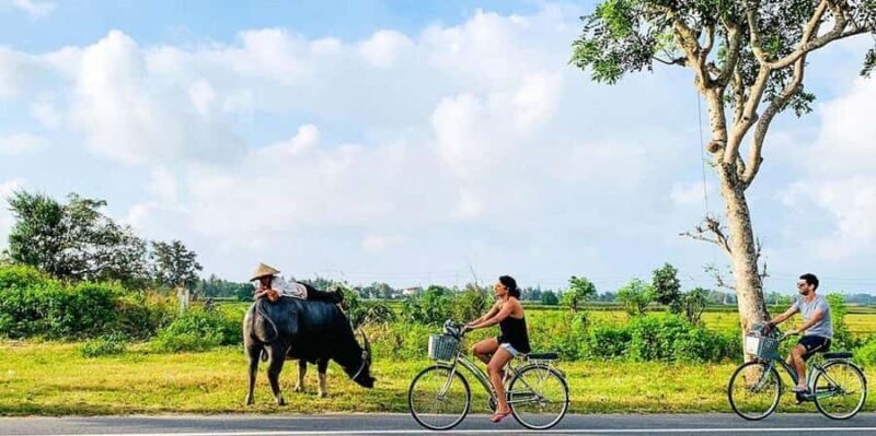 Da Nang or Hoi An: Countryside Bike & Basket Boat Tour - FAQs